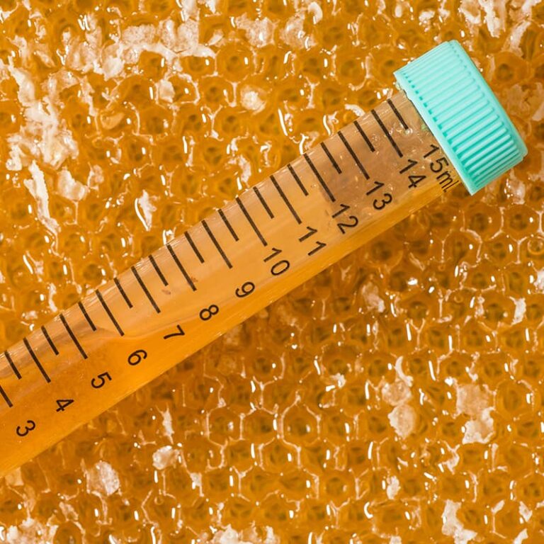Wholesale & Bulk Industrial Honey Supplier | Honey Source